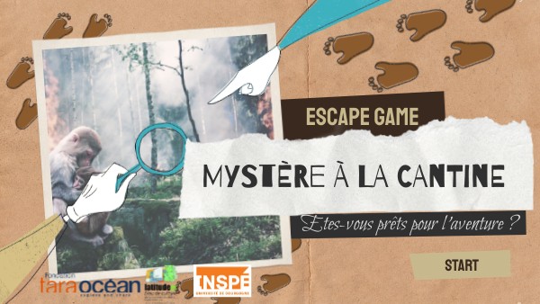 Escape Game Déforestation | Genially