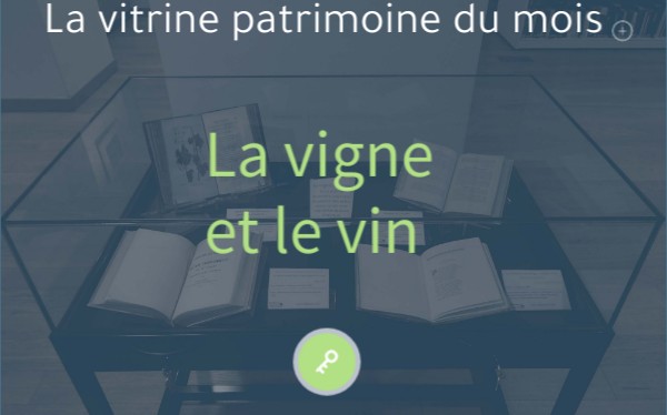 Vitrine novembre 2021 | Genially