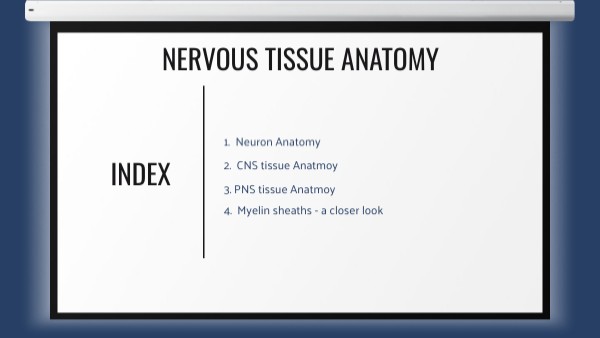 M06 Nervous tissue Anatomy | Genially