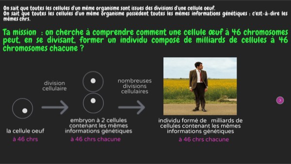 chap 2 la mitose | Genially