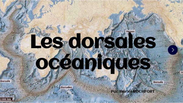 Les dorsales - cycle 4 | Genially