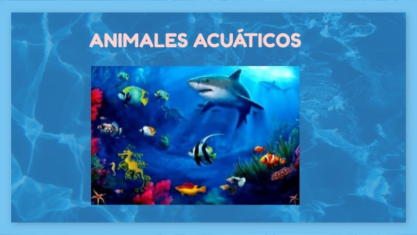 PRESENTACIÓN animales marinos | Genially