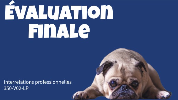 Évaluation finale IP | Genially