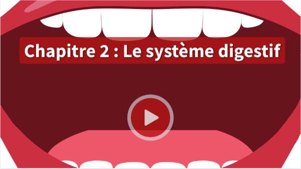 le système digestif | Genially