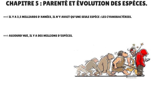 chapitre 4 parenté et évolution des EV | Genially