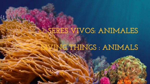 LIVING THINGS: ANIMALS