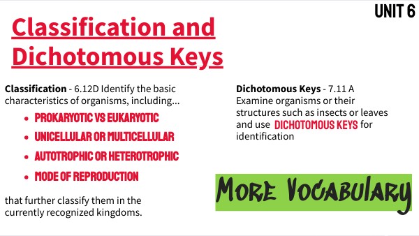 Unit 6 Word Wall | Genially