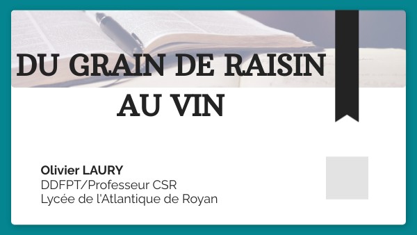 Copie - BASIC THESIS | Genially