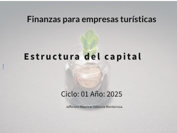 S3_estructura de capital | Genially