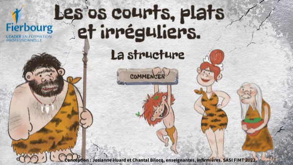 Structure des os courts, plats et irréguliers. | Genially