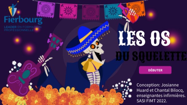 Les os du squelette | Genially