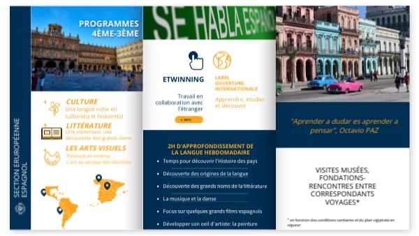 Copie - Flyer euro | Genially