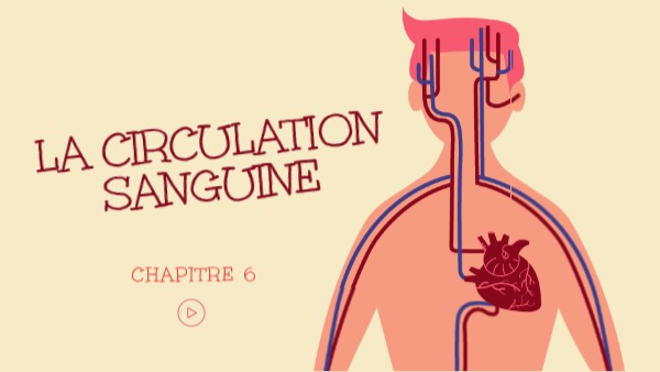 La circulation du sang | Genially