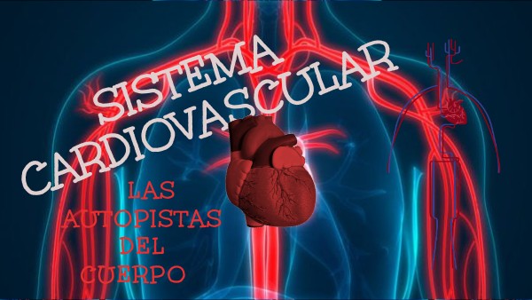 Sistema cardio ( circulatorio) 2 | Genially