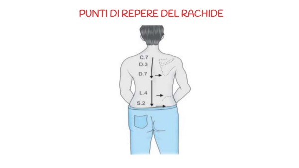 VALUTAZIONE IN FISIOTERAPIA | Genially