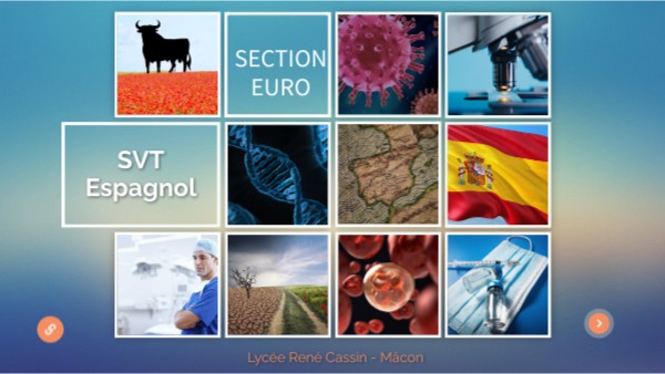 Section européenne SVT-Espagnol CASSIN | Genially