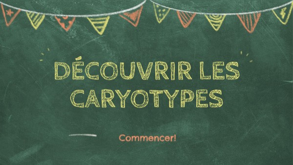 DECOUVRIR LES CARYOTYPES | Genially