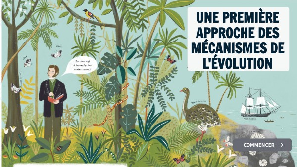 Une première approche des ménanismes de l'évolution | Genially