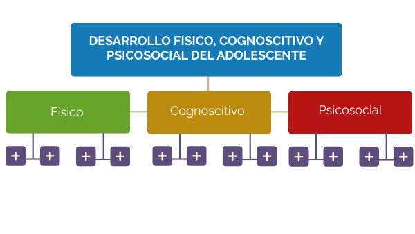 Desarrollo Físico, Cognosctivo y Psicosocial del Asolescente