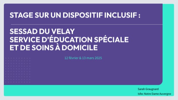 Stage en dispositif inclusif | Genially