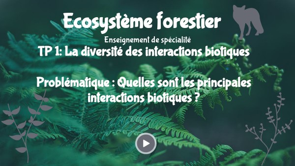 TP: INTERACTIONS FONTAINEBLEAU | Genially