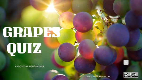 GRAPES QUIZ | Genially