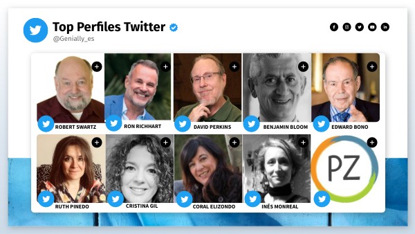 TWITTER CUADRÍCULA PERFILES