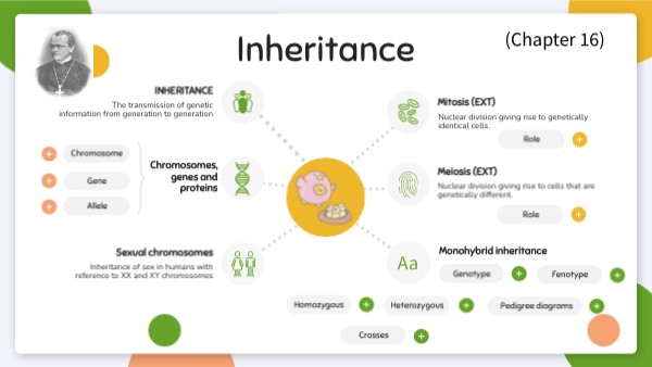 Inheritance - IGCSE | Genially