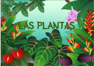 LAS PLANTAS | Genially