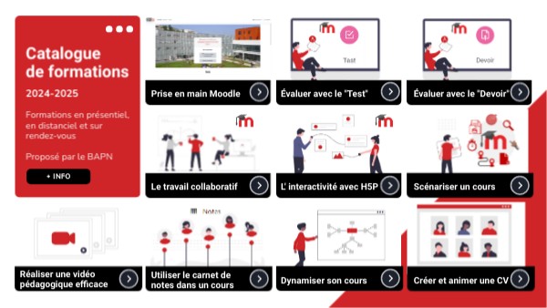 Catalogue de formations du BAPN (2023-2024) | Genially