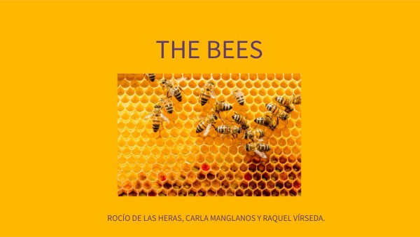 BEES PRESENTATION | Genially