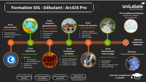 Timeline formation SIG | Genially