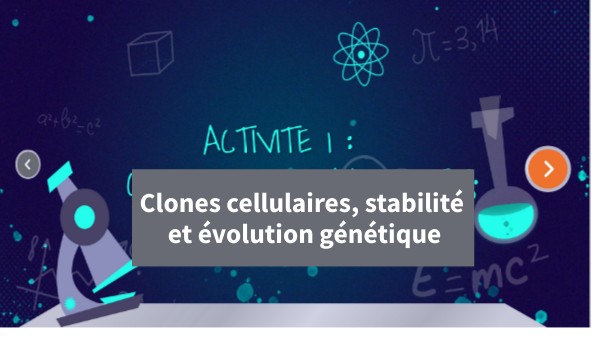 Stabilité génétique et évolution clonale | Genially