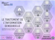 Formation "Le traitement de l'information sensorielle" | Genially