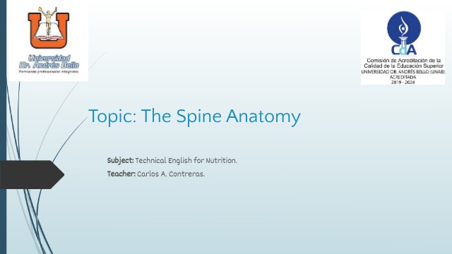 The Spine Anatomy ppt | Genially
