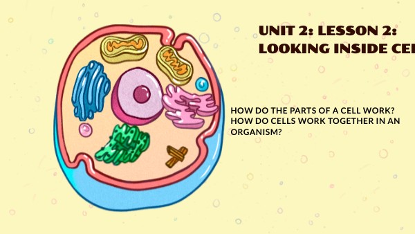 Science 7th, Unit #2 (Lesson 2, Animal Cell)