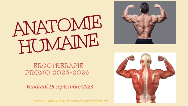 ANATOMIE HUMAINE | Genially
