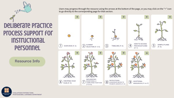 OLD Deliberate Practice Process Support for Instructional Personnel ...
