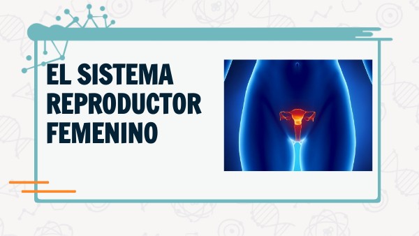 Sistema reproductor femenino | Genially