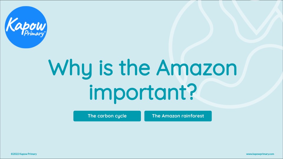 Why is the Amazon important? | Genially
