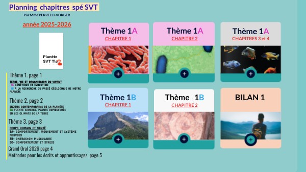 planning spéTerminales 2024-2025 | Genially