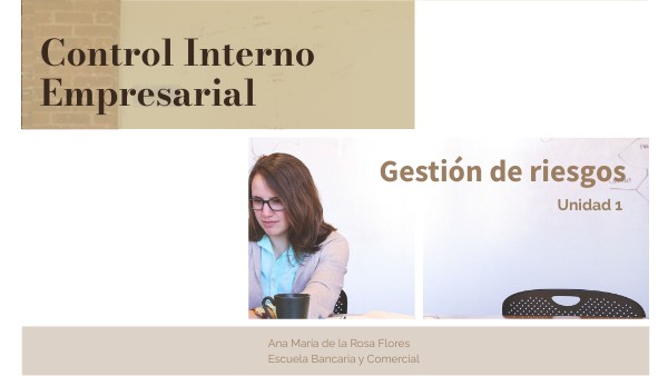 control interno empresarial | Genially