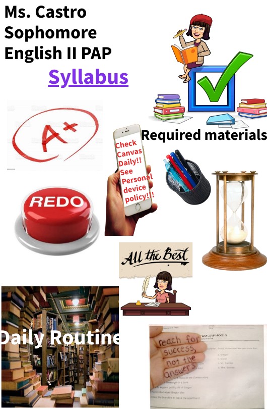 PAP syllabus | Genially