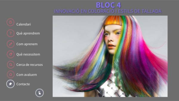 Bloc 4, Innovació en coloració i estils de tallada