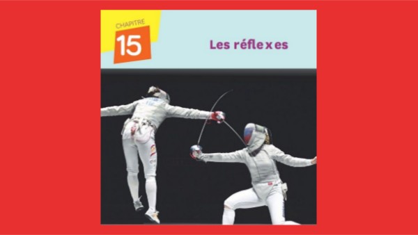 Term-Réflexes-Chp15 | Genially