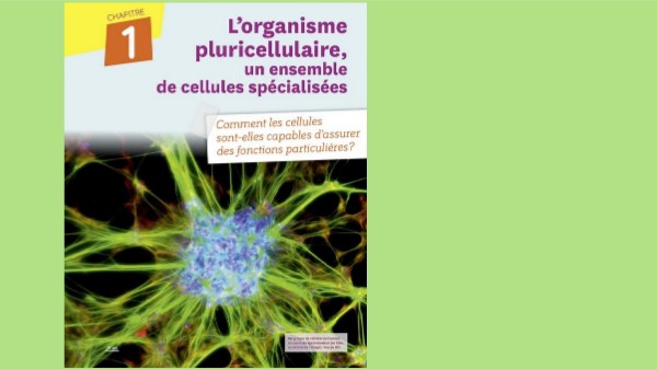 seconde_chapitre1 | Genially