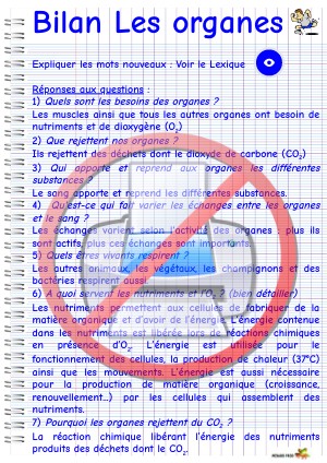 5e Cours chap 1 | Genially