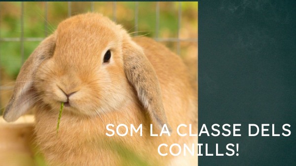 Reunió de pares 2022-23 | Genially