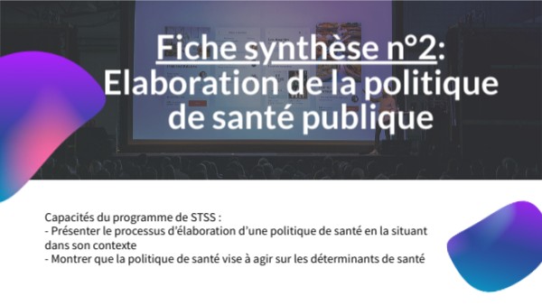 Fiche synthèse n°2: Elaboration des politiques de santé publique | Genially