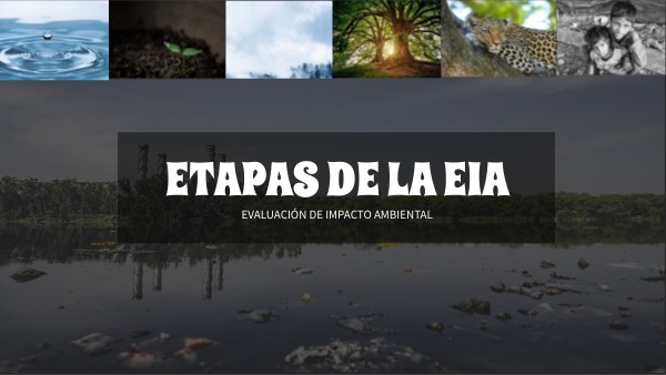 LINEA BASE -EIA | Genially